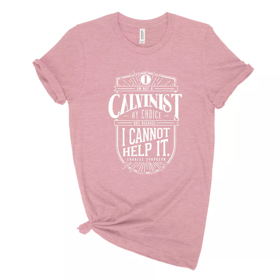 Calvinist Ladies Tee | Missional Wear